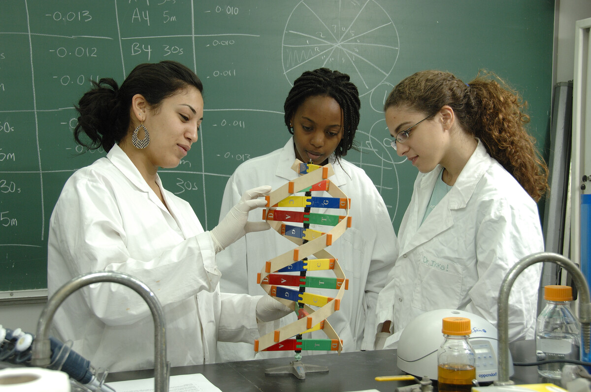 AUC Introduces Four New Minors | The American University in Cairo