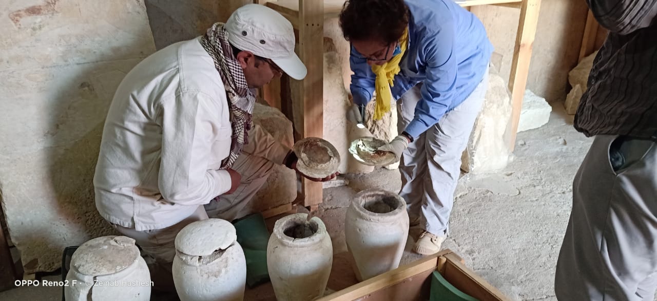 AUC's Salima Ikram Involved in Major Mummy Finding That May Alter ...