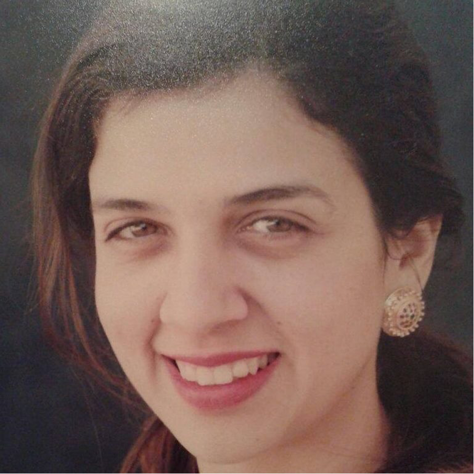Hanan Shahin | The American University in Cairo