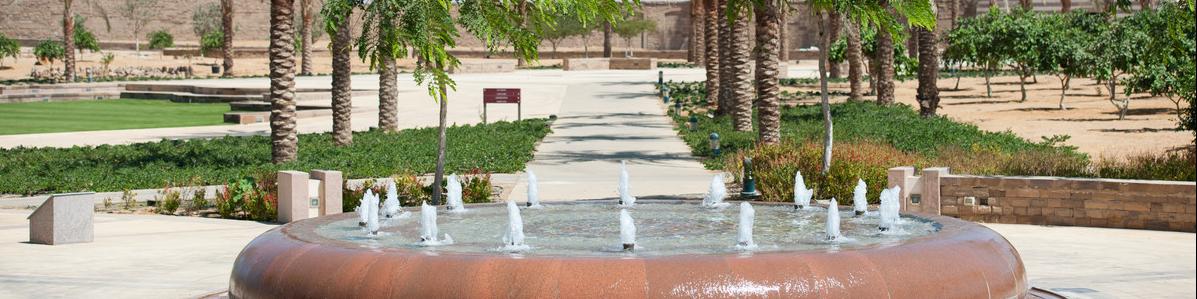 The American University in Cairo