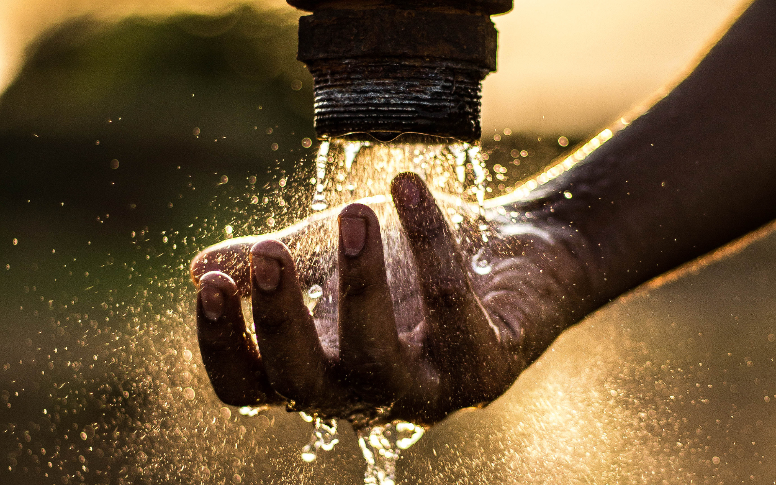 Tackling Water Scarcity Through AI | The American University in Cairo