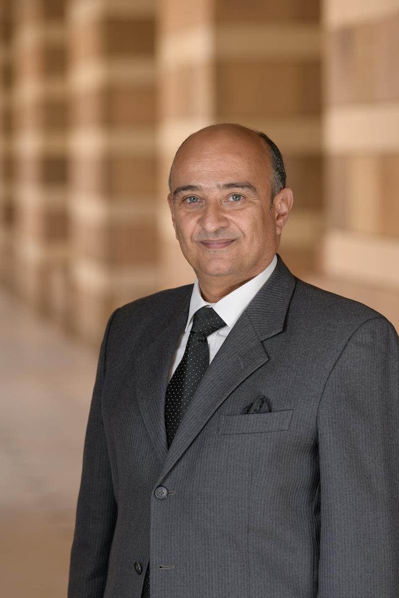 Ezzeldin Yazeed Sayed-Ahmed | The American University in Cairo