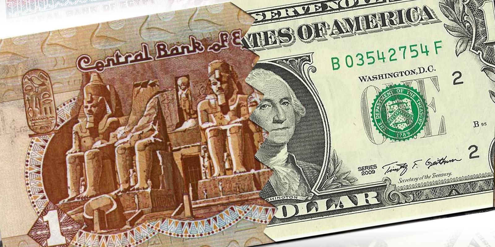 Floatation Of The Egyptian Pound Is It Going To Get Better The Floatation Of The Egyptian Pound Is It Going To Get Better The