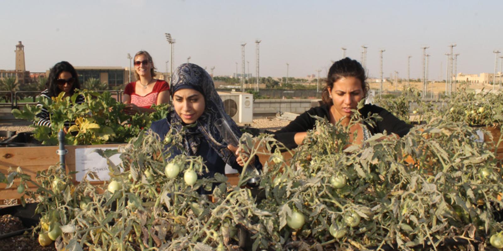 Active Student Engagement Key to Sustainable Development | The American ...