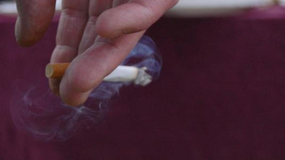 Tobacco-Free AUC Initiative Launches | The American University in Cairo