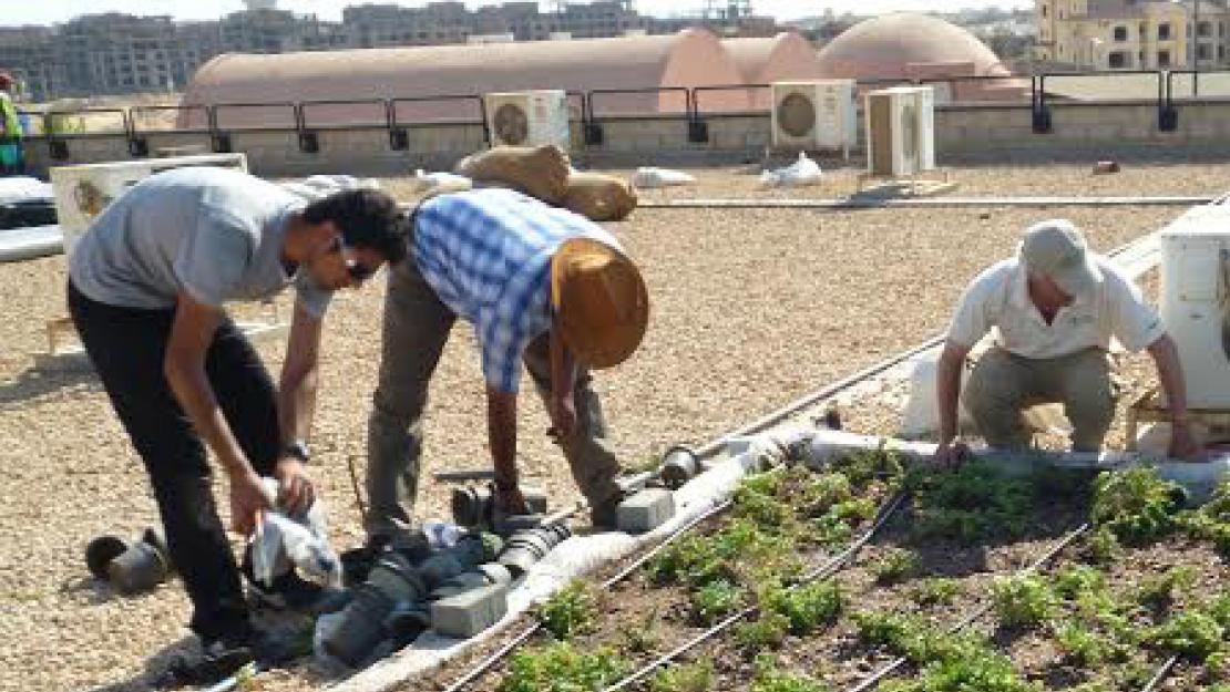 Desert Development Center Leaves a Legacy at AUC | The American ...
