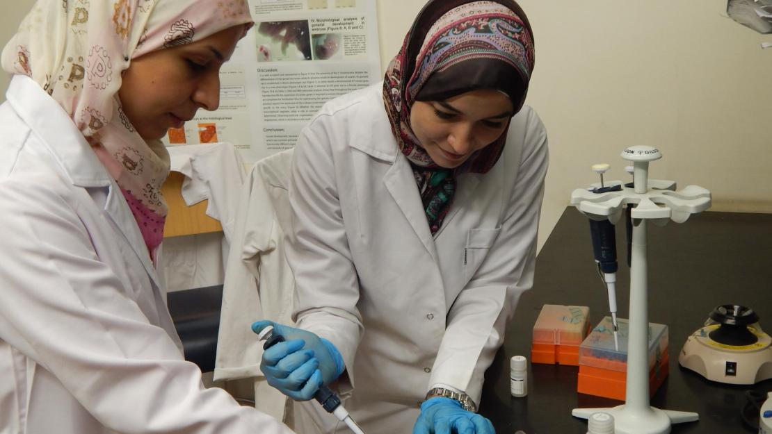 Nanotechnology for Treating Breast Cancer, Developing Natural Remedies ...