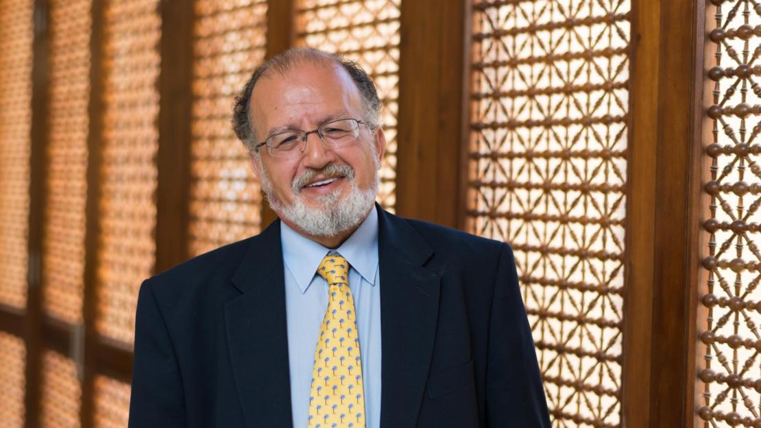 Sciences, Engineering Dean Hassan El-Fawal: AUC is an Educational Oasis ...