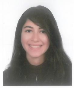 Meet the Team | The American University in Cairo